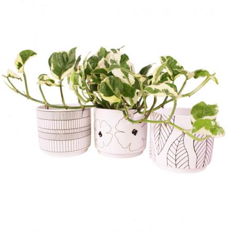 Cache-pot en céramique blanc à motifs - Grossiste fleuristes jardineries
